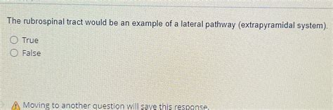 Solved The Rubrospinal Tract Would Be An Example Of A Lateral Pathway