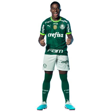 Baixar Vetor Escudo Palmeiras Illustrator Gratis