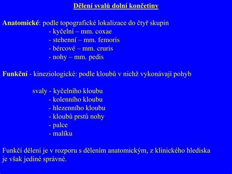Ppt Svaly DolnÍ KonČetiny Musculi Membri Inferioris Musculi
