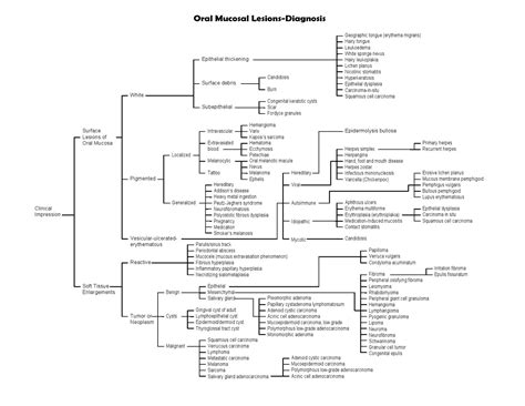 Differential Diagnosis Of Oral Lesions Mature Milf