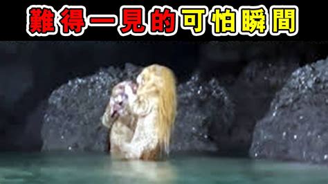 那些被鏡頭記錄下來的奇怪時刻！15個讓人不堪入目的驚悚瞬間！ 細思極恐！原來真的有這麼離譜的事情！ Youtube