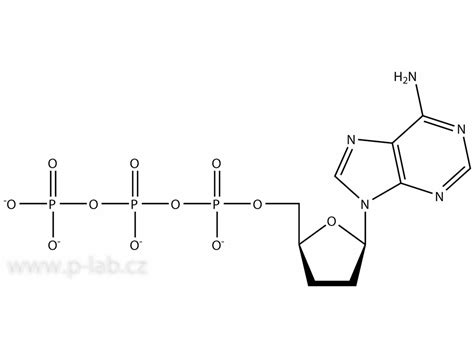 Ddatp Dideoxyadenosintrifosfát P Lab Potřeby Pro Laboratoř