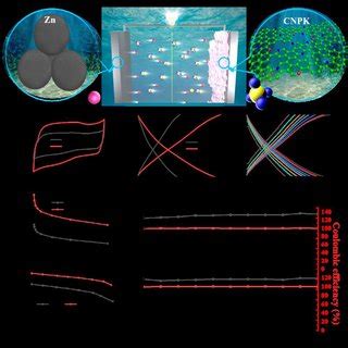 Electrochemical Properties Of Aqueous ZHC A Configuration And Working