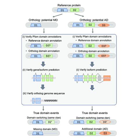 Results Of Error Detection Protocol For A Nhp Proteins And B Nsf