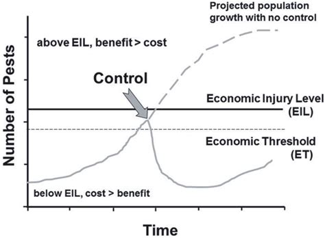 2 Conceptual Framework For How Pest Managers Interrelate Pest Numbers Download Scientific