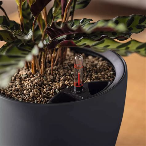 Lechuza Classico 28ls Matt Skifer Ø285cm Mikrogartneriet