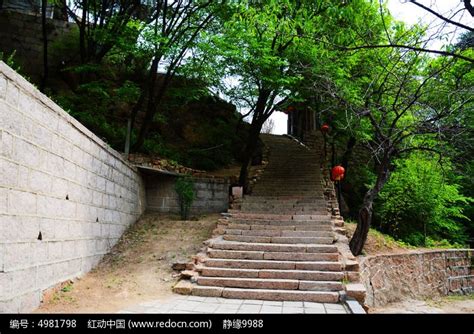 龙泉寺风景区的石阶与树木高清图片下载 红动中国