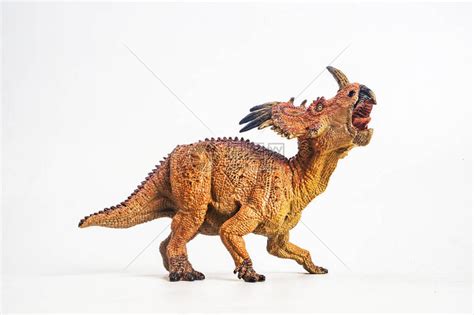 恐龙高清图片下载 正版图片505464441 摄图网 恐龙高清图片下载 正版图片505464441 摄图网
