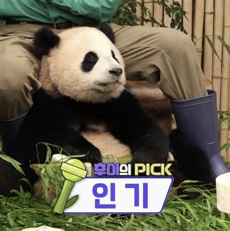 더쿠 햄부기햄북 햄북어 햄북스딱스 함부르크햄부가우가 햄비기햄부거 햄부가티햄부기온앤 온 을 차려오거라