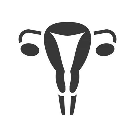 Cervix Icon Illustrations Royalty Free Vector Graphics And Clip Art Istock