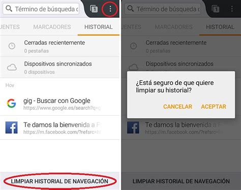 Cómo Borrar El Historial De Navegación En Pocos Pasos Lowi