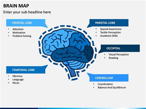 Brain Map For PowerPoint And Google Slides Brain Mapping Power Point Template Map