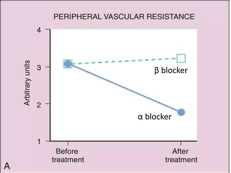 Beta Adrenergic Blockers Pptx