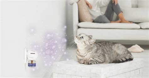 Feliway Optimum Refill Calming Cat Pheromone Diffuser
