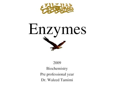 Ppt Enzymes Basic Concepts And Kinetics 79 Dokumentips
