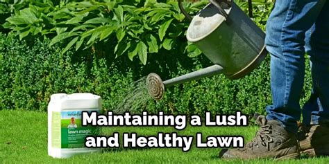 How To Make My Lawn Greener And Thicker 11 Simple Steps