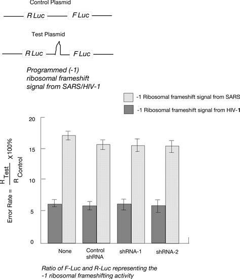 Human Ribosomal Protein L A Is Dispensable For Canonical Ribosome Function But Indispensable