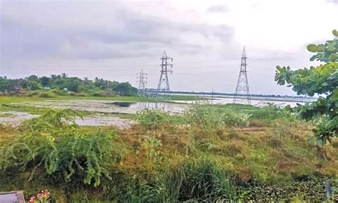 Thiruninnavur Periya Lake Which Has Not Been Drained For A Long Time