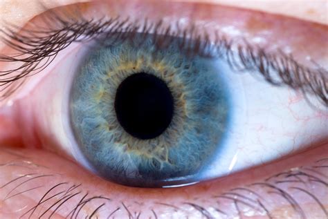 Prozac Pegged As Potential Treatment For A Leading Cause Of Blindness