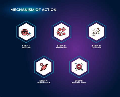 The Best Eaa Supplement For Enhanced Muscle Recovery And Performance