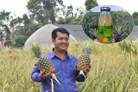រោងចក្រផលិតទឹកម្នាស់ខ្នាតធំនៅស្ទឹងត្រែង ជាក្តីសុបិនរបស់លោក សាយ