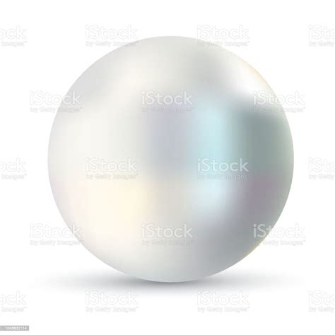 단일 진주 벡터 일러스트입니다 그림자와 흰색 배경에 고립 된 진주입니다 3d 자연 굴 진주 빛나는 바다 진주 진주에 대한 스톡