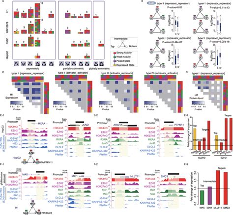 The Landscape Of Chromatin State Modified Motifs And Their Contribution