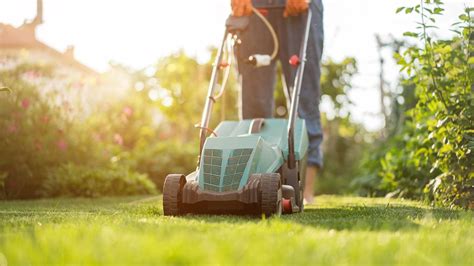 Can I Cut Wet Grass Lawn Experts Have The Answer Homebuilding