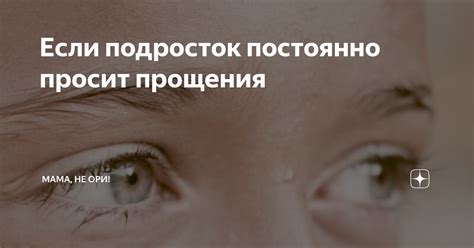 Если подросток постоянно просит прощения Мама не ори Дзен