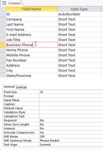 Using An Input Mask For Data Access Advantedge Training Consulting