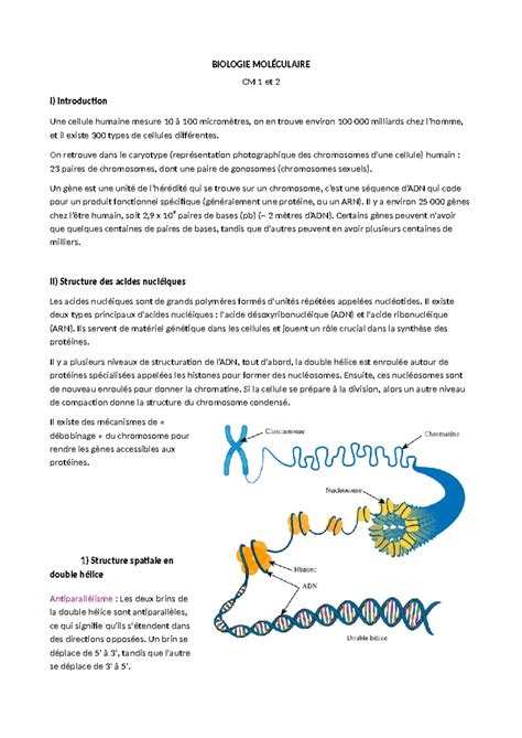 Biologie Moléculaire Cours 1and2 Biologie MolÉculaire Cm 1 Et 2 I