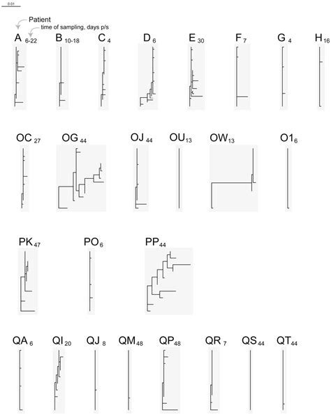 Figure 2 From Transmission Of Single And Multiple Viral Variants In