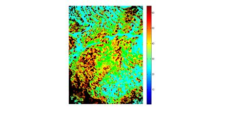 Muonray Drone Based Vegetation Index Using Custom Near Infrared Nir Filters