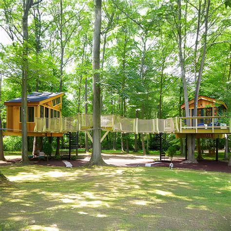 Planos De La Casa Del árbol La Guía Definitiva Para Diseñar La Casa
