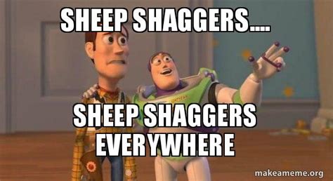 Sheep Shagging Memes Hungover Sheep A Comical Farming Mishap