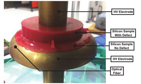 Sample Test Assembly Download Scientific Diagram
