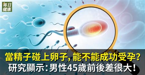 當精子碰上卵子，能不能成功受孕？研究顯示：男性45歲前後差很大！想孕趁早還要遠離風險因子 才能保存好「精」力 健康 Nownews今日新聞