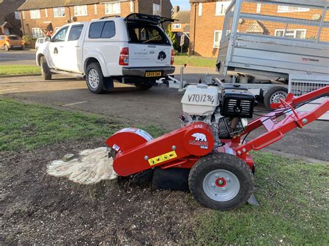 Stump Removal Tree Surgeon Great Oak Tree Services Ltd Scunthorpe