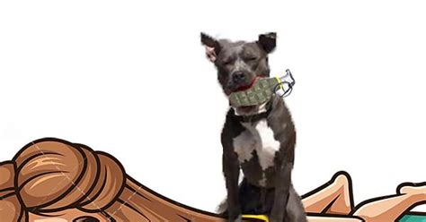 God On Lady For Photoshop Battler