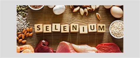 Selenium Think Twice If You Eat Brazil Nuts Learn Why
