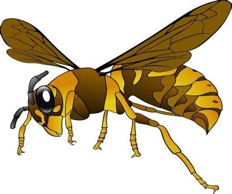 Hiddenwasp Malware Targets Specific Linux Device Owners Eeweb