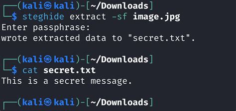 Un Guide De Stéganographie Sous Linux Toptipsfr