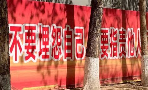 不要埋怨自己 要指责他人 芒果xo