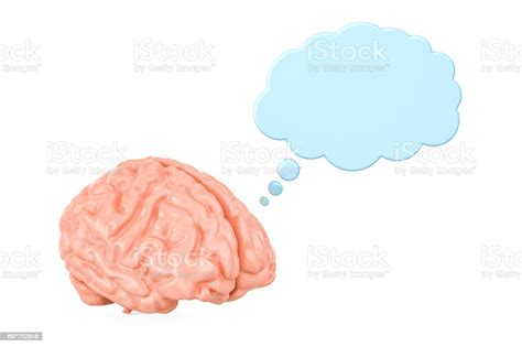 인간의 뇌는 생각 클라우드 3d 렌더링에 고립 된 흰색 배경 3차원 형태에 대한 스톡 사진 및 기타 이미지 3차원 형태 개념과 주제 교육 Istock