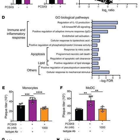 Hypoxia And Denv Infection Both Alter Ldlr And Pcsk9 Expression A And