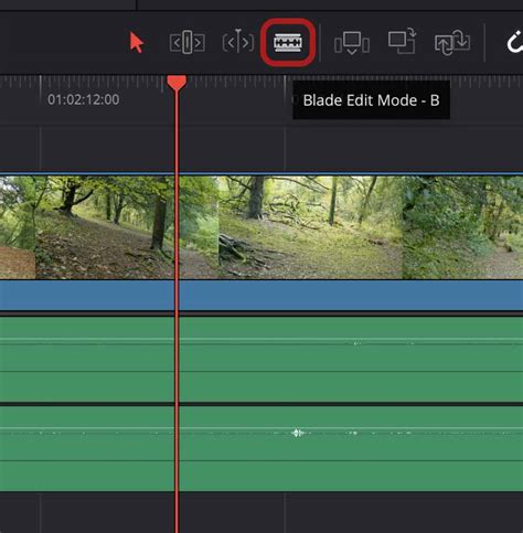 How To Mute Video In DaVinci Resolve Pro Methods