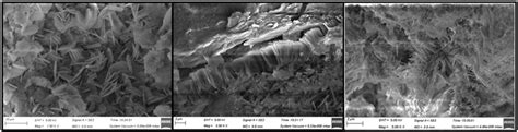 Sample Diagram For Porosity Calculation Download Scientific Diagram