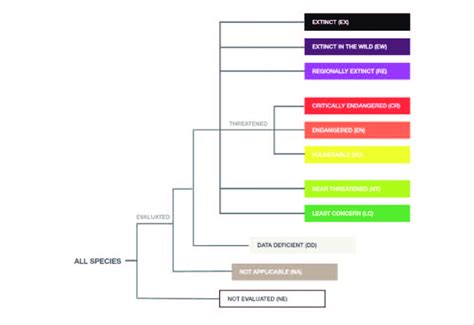 1 Iucn Red List Categories At The Regional Level Iucn 2003