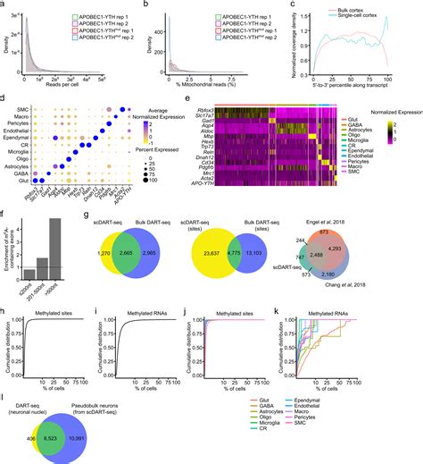 Single Cell M6a Profiling In The Mouse Brain Uncovers Cell Type