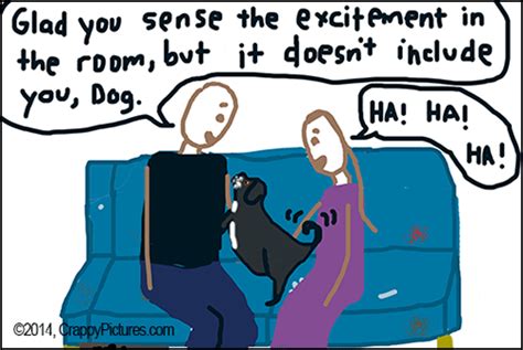 What Happens If A Cat Has Sex With A Dog